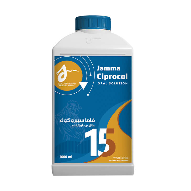 Jamma Ciprocol - Jamma